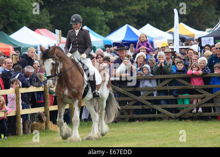 Martin Clunes, Buckham Fair, Dorset, UK Credit: Finnbarr Webster/Alamy ...