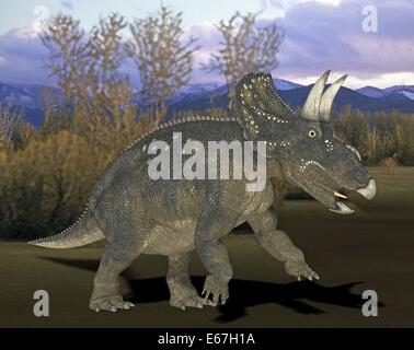 Dinosaurier Nedoceratops / dinosaur Nedoceratops Stock Photo - Alamy
