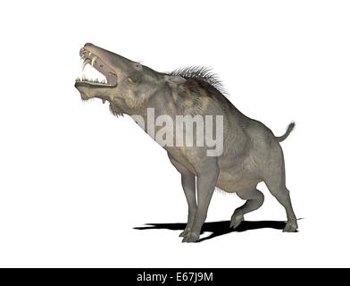 Entelodon / Entelodon Stock Photo - Alamy