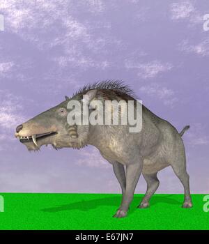 Entelodon / Entelodon Stock Photo - Alamy