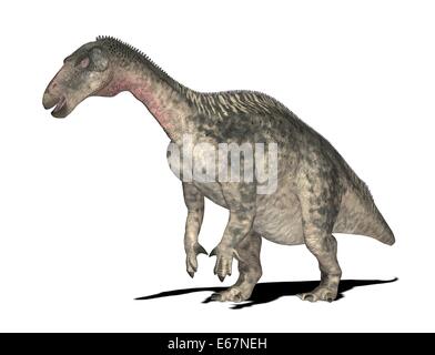 Dinosaurier Lurdusaurus / dinosaur Lurdusaurus Stock Photo - Alamy