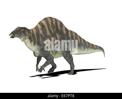 Dinosaurier Ouranosaurus / dinosaur Ouranosaurus Stock Photo - Alamy