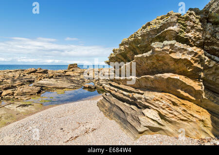 MORAY COASTLINE SCOTLAND NEAR HOPEMAN GOLDEN SANDSTONE CLIFFS WITH ...