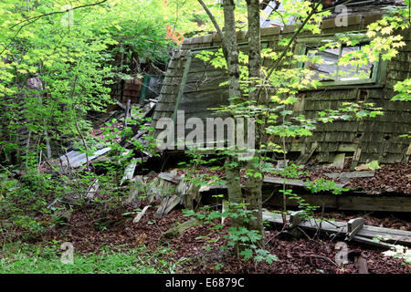 Fallen house in the woods Stock Photo - Alamy