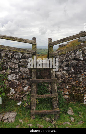 UK, England, Yorkshire, Malham, steps up escarpment to Malham Cove ...