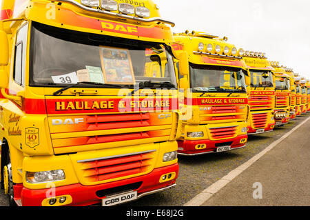 Row of parked yellow trucks Stock Photo - Alamy