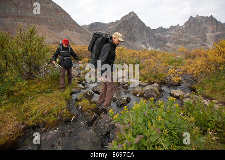 People hiking in arctic or subalpine tundra, autumn, Tombstone ...