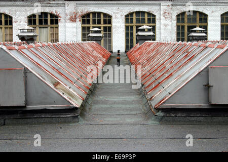 Historical Roof With Skylights Stock Photo: 117616598 - Alamy