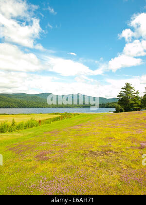 Lewey Lake in the Adirondack State Park, New York Stock Photo - Alamy