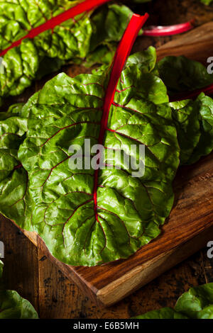 Raw Organic Red Swiss Chard on a Background Stock Photo - Alamy