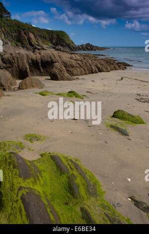 Colona Beach, Chapel Point, Cornwall, England Stock Photo - Alamy