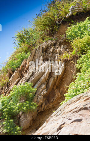 Colona beach, Chapel Point, Portmellon, Cornwall Stock Photo - Alamy