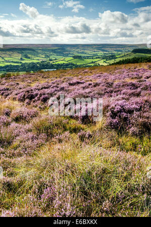 Hartoft Moor North York Moors national park North Yorkshire Stock Photo ...
