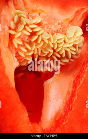 A vertical selective focus shot of red autumn leaves on a blurred ...