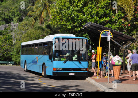 Horseshoe Bay bus and people at bus stop Magnetic Island, Queensland ...