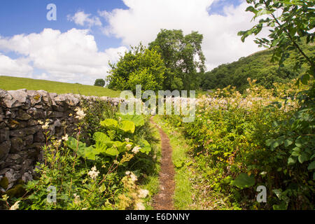Feizor in the Yorkshire Dales, UK Stock Photo - Alamy