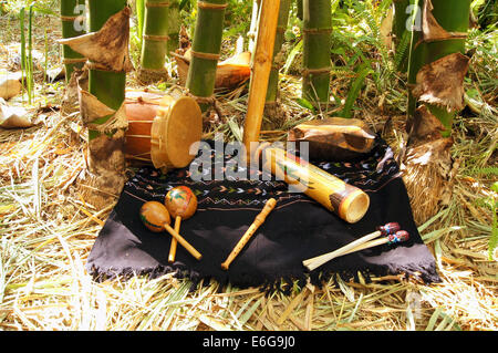 A collection of indigenous mayan musical instruments at the base of ...