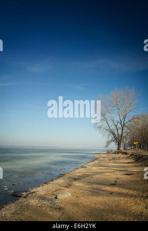 A tree and frosty lawn at waterfront of a frozen garden pond ice skim ...