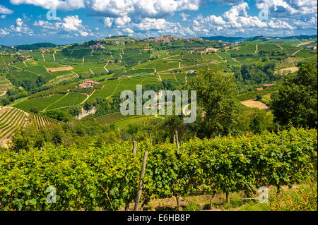 Italy Piedmont Langhe Mango Stock Photo - Alamy