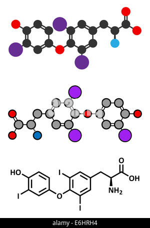 Chemical structure of a triiodothyronine (T3) molecule, thyroid hormone ...