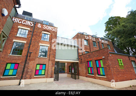 UK, England, Bedfordshire, Bedford, The Higgins museum, Thomas Lester ...