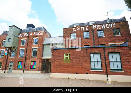 UK, England, Bedfordshire, Bedford, The Higgins museum, Thomas Lester ...