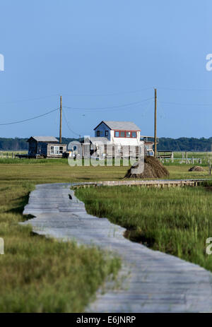 Rustic salt marsh bay shack, Wildwood, New Jersey, USA Stock Photo - Alamy