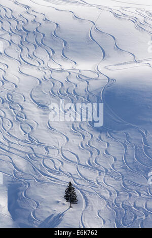 Ski tracks in deep snow in mountains, Austrian alps, Gastein, Salzburg ...