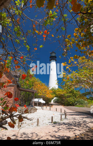 SEA GRAPE LIGHTHOUSE CAPE FLORIDA STATE PARK KEY BISCAYNE MIAMI FLORIDA ...