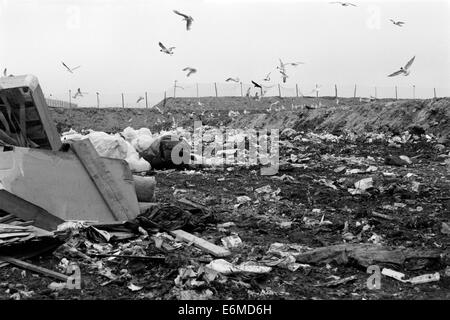 mounds of garbage at a landfill site in the 1990s which is now buried ...