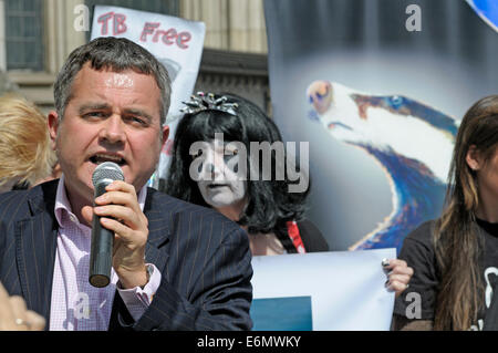 Dominic Dyer of the Badger Trust speaks as protesters gather outside ...