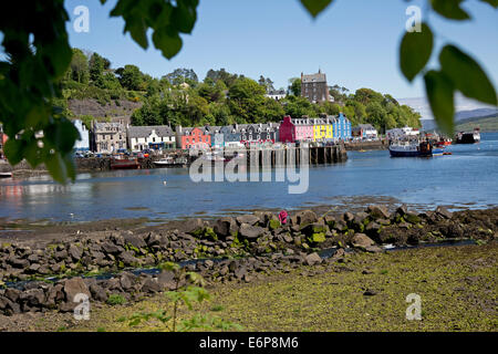 Colourful houses on the harbour at Tobermory on the Isle of Mull a ...