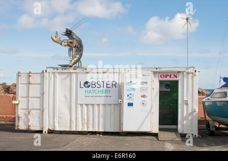 Firth of Forth lobster hatchery, North Berwick, East Lothian, Scotland ...