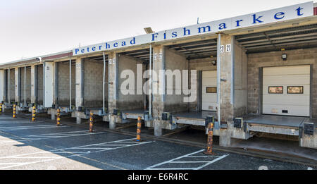 Empty fish market Stock Photo - Alamy