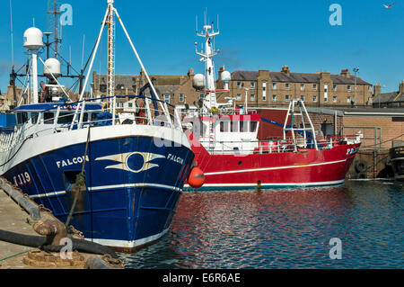 Trawlers moored in Peterhead harbour in Aberdeenshire, Scotland Stock ...
