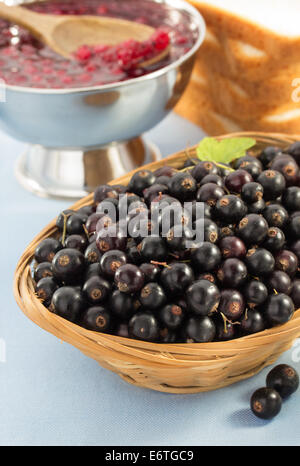 black currants on blue background Stock Photo - Alamy