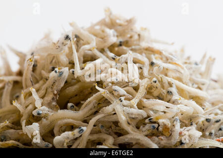 Dried Japanese mini anchovies (Engraulis japonicus) on dish Stock Photo ...