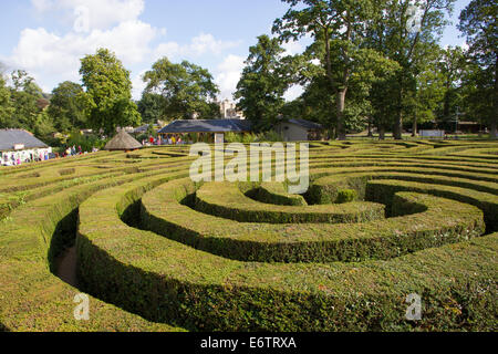 Longleat Safari Park hedge maze, Wiltshire, England Stock Photo - Alamy