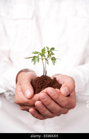 Nurturing hands. Closeup shot of cupped hand holding a small seedling ...