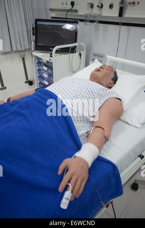 Metiman medical simulator Stock Photo - Alamy