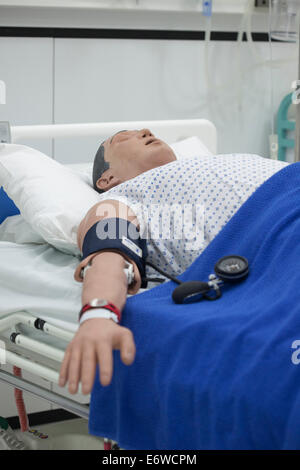 Metiman medical simulator Stock Photo - Alamy