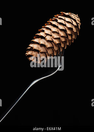 A vertical shot of a pine cone on the ground in the forest Stock Photo ...
