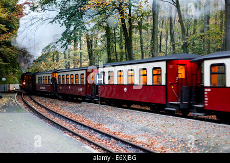 Molli Train, Heiligendamm, Bad Doberan, Germany Stock Photo - Alamy