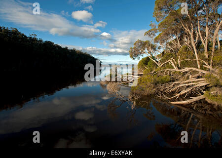 Mallacoota Inlet with reflection, Croajingolong National Park, Victoria ...