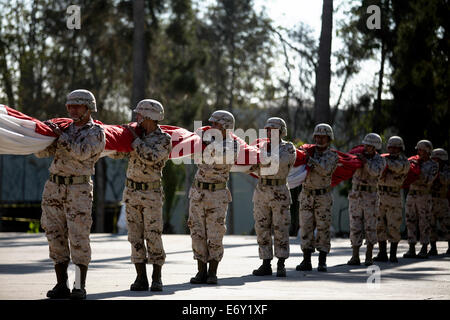 Mexican army in a ceremony Stock Photo: 26067833 - Alamy