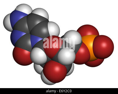 Deoxycytidine monophosphate (dCMP) nucleotide molecule. DNA building ...