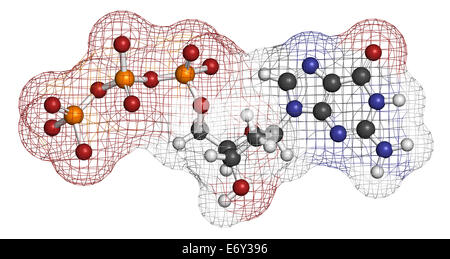 Deoxyguanosine triphosphate (dGTP) nucleotide molecule. DNA building ...