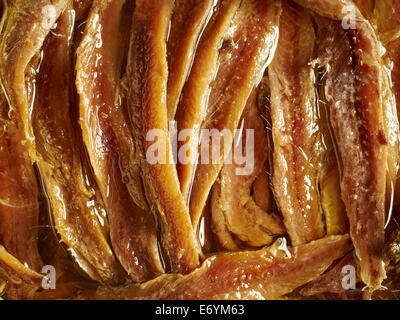 Anchovy fillets packed in olive oil Stock Photo - Alamy