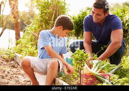 Father and grown son working together replacing tractor tire on the ...