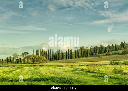 Early morning on Tuscany Stock Photo - Alamy